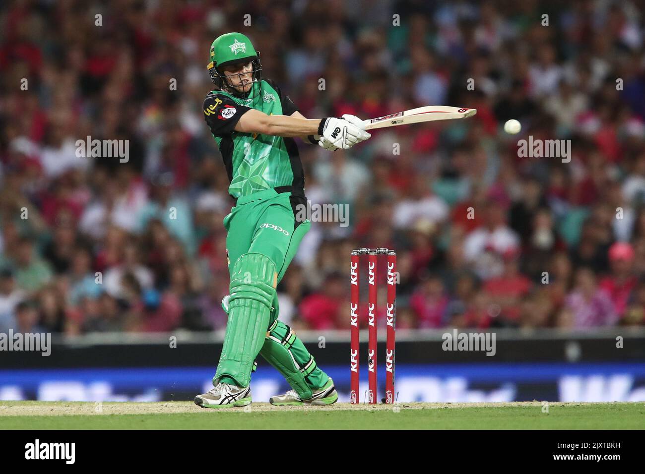 Nick Larkin of the Stars bats during the Big Bash League (BBL) match ...