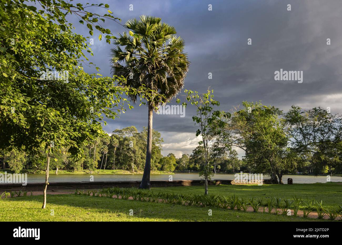 Water canal around Angkor Wat, Cambodia Stock Photo - Alamy