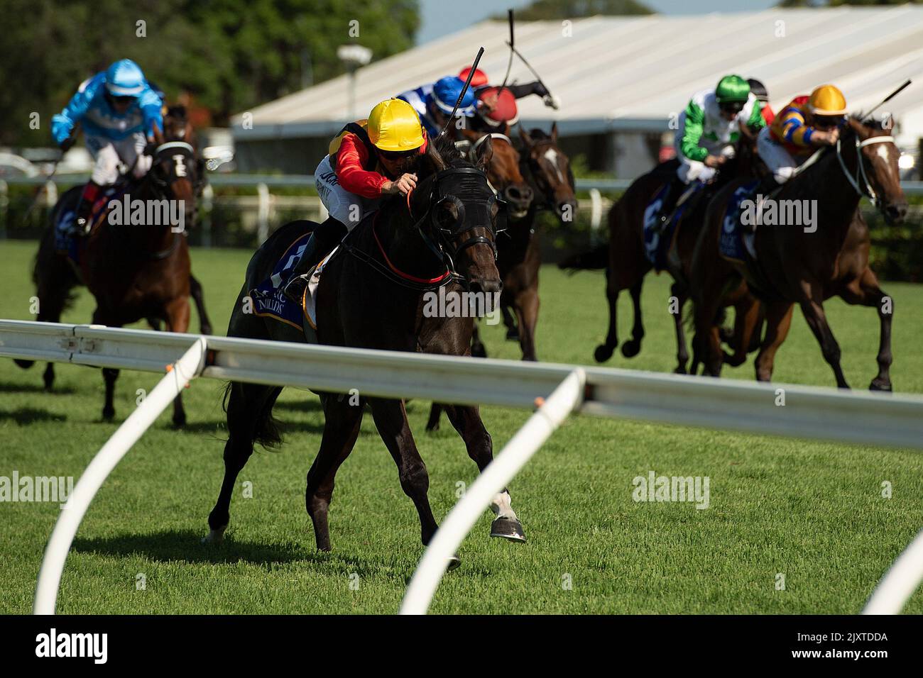 Damian Browne rides Boomsara (centre) to victory in race 6, the Magic ...
