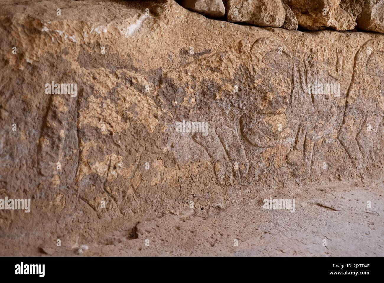 Sayburc, newly discovered pre-pottery neolithic site in southeastern ...