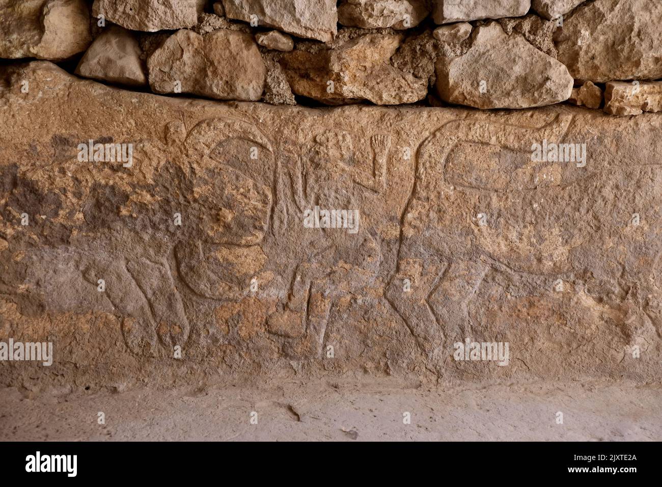 Sayburc, newly discovered pre-pottery neolithic site in southeastern ...