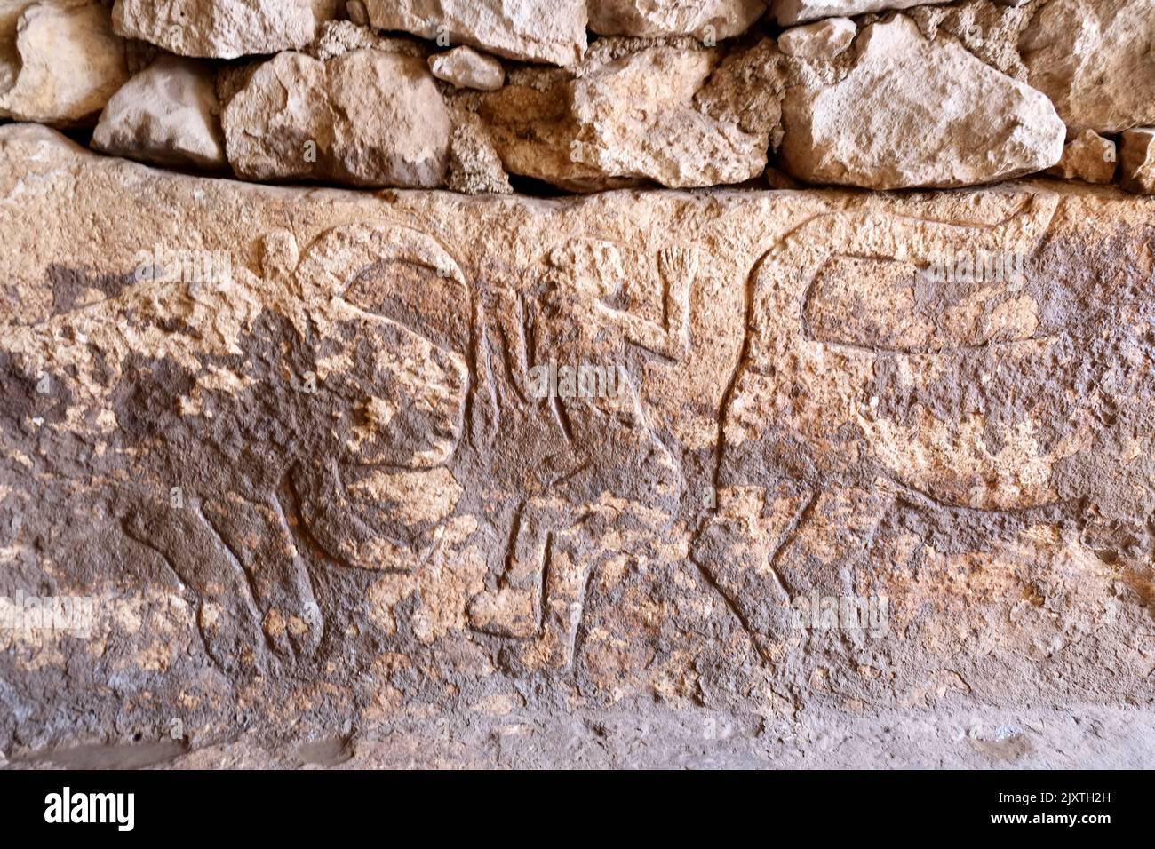 Sayburc, newly discovered pre-pottery neolithic site in southeastern ...