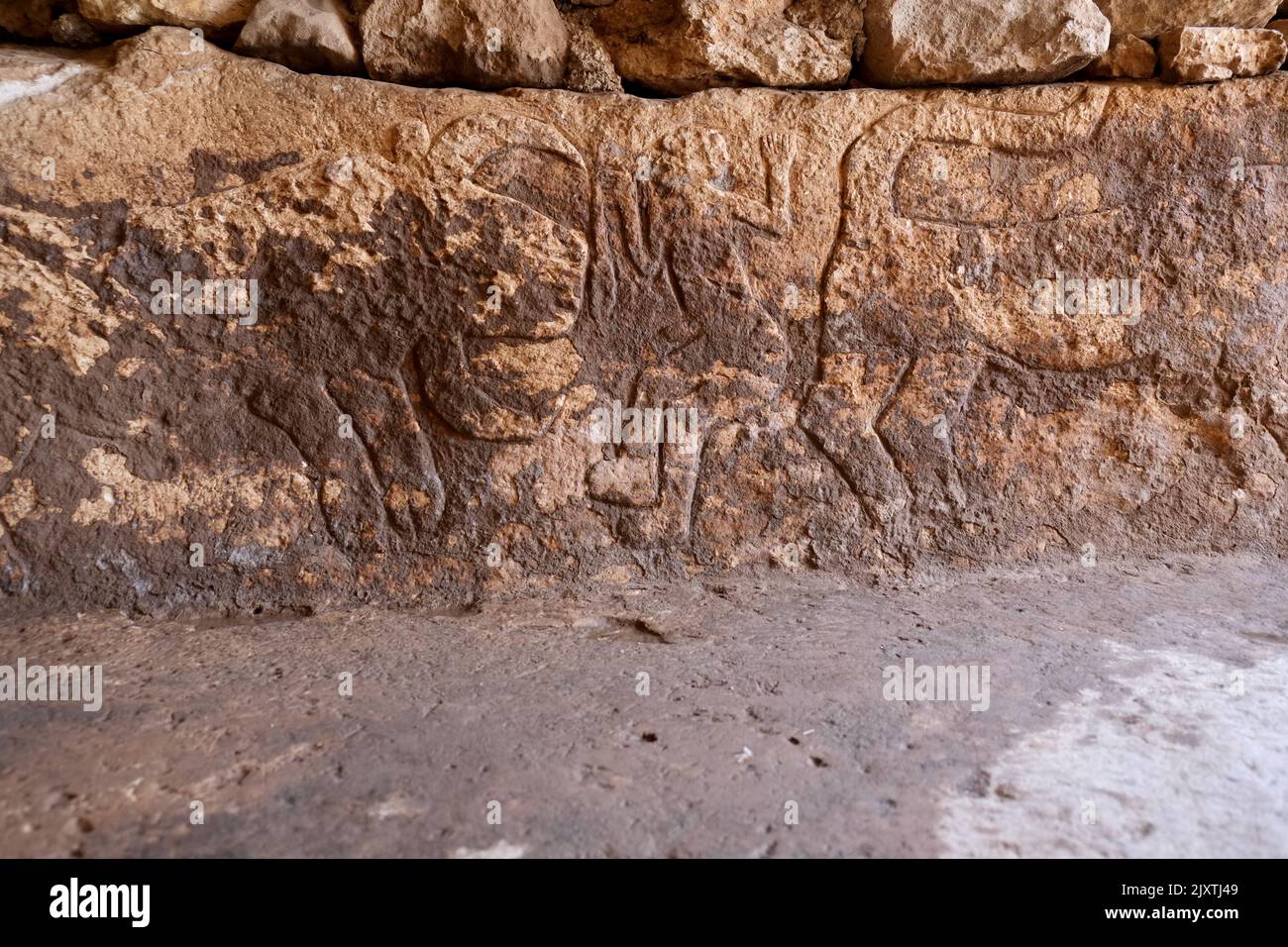 Sayburc, newly discovered pre-pottery neolithic site in southeastern ...