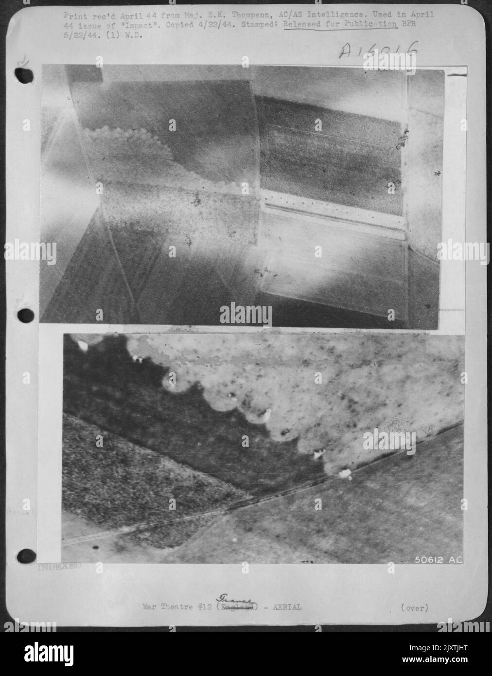 Tethered cows hi-res stock photography and images - Alamy