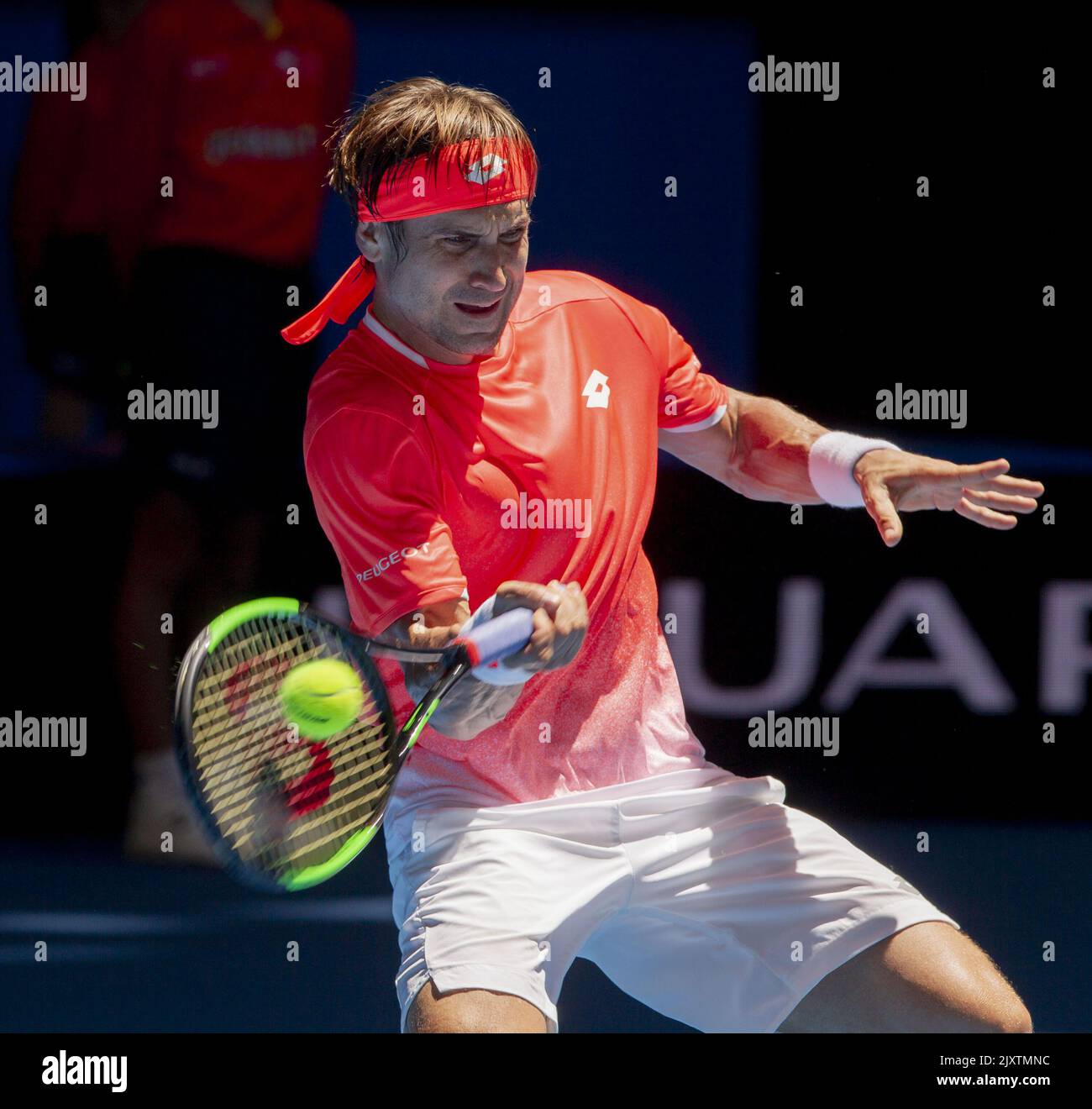 David Ferrer of Spain during the men's singles match between Spain and ...