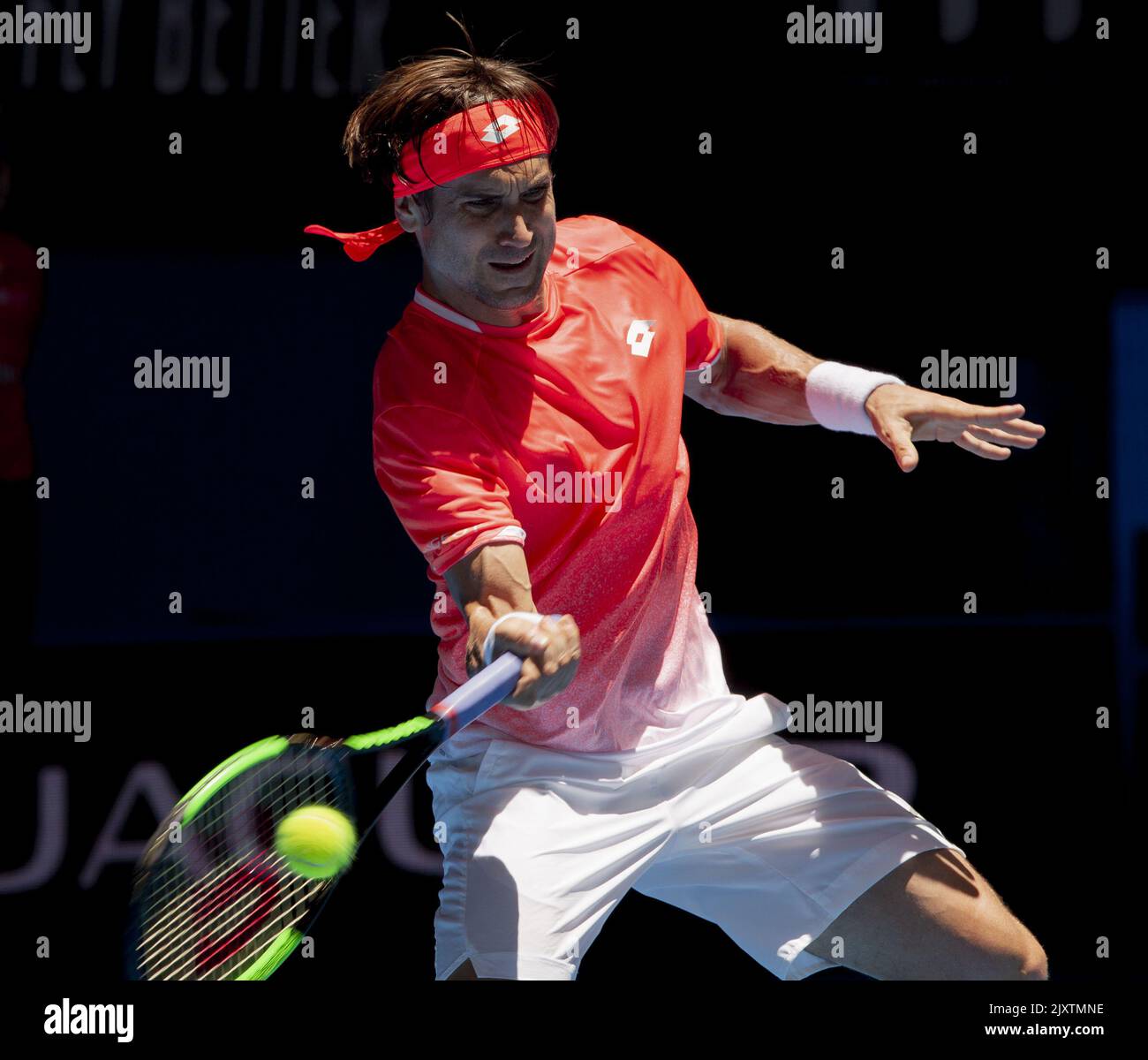 David Ferrer of Spain during the men's singles match between Spain and ...