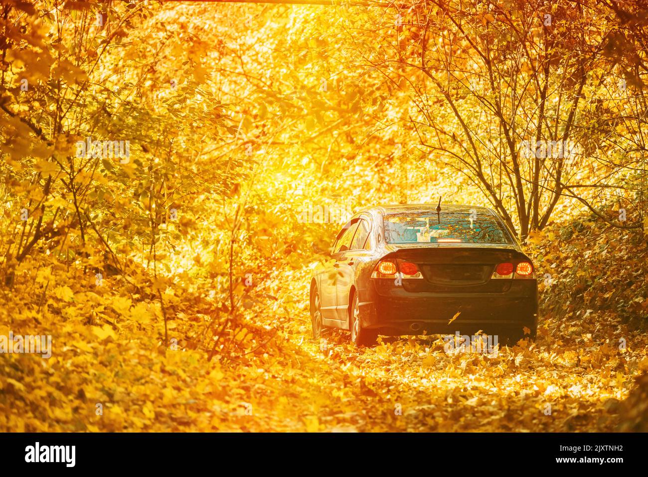 Car Parked On Road, Path, Way, Lane, Pathway In Autumn Forest. Bright ...