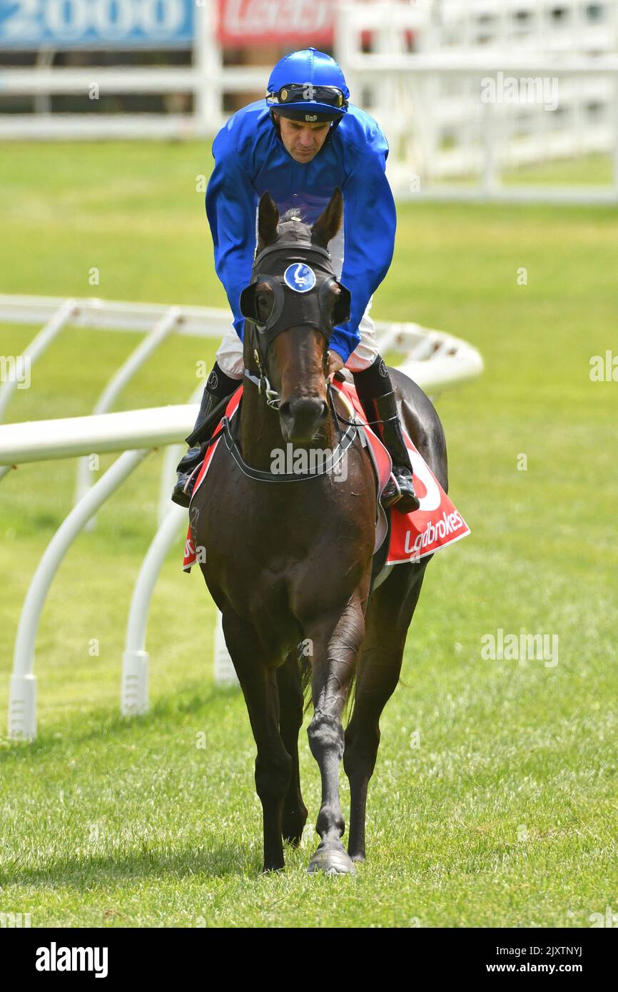 Jockey Dwayne Dunn returns to scale after riding Chatuchak to victory in race 5, the In Memory ...