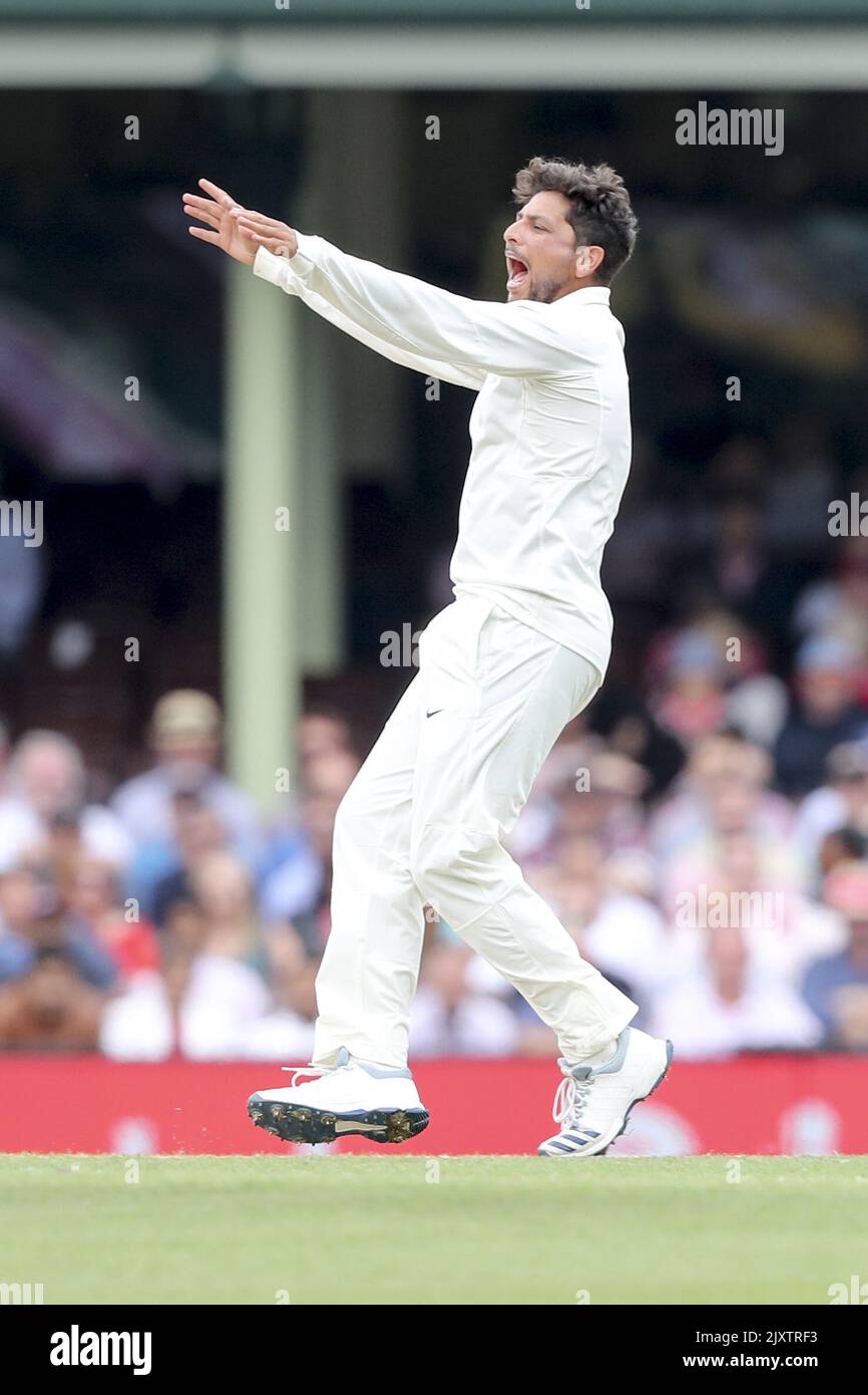 Kuldeep Yadav of India appeals successfully for the wicket of Nathan ...