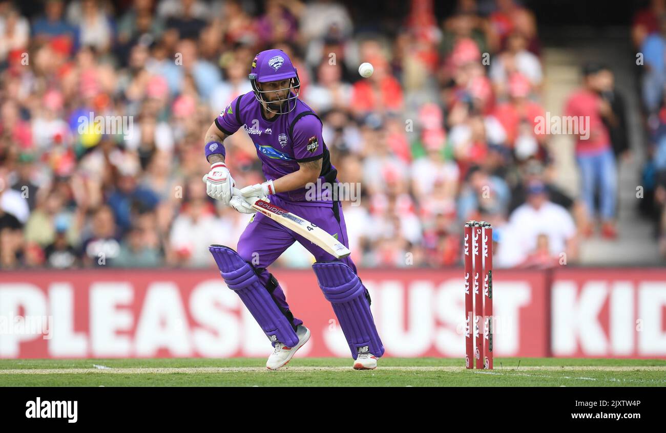 Matthew Wade of the Renegades is seen in action during the Big Bash ...