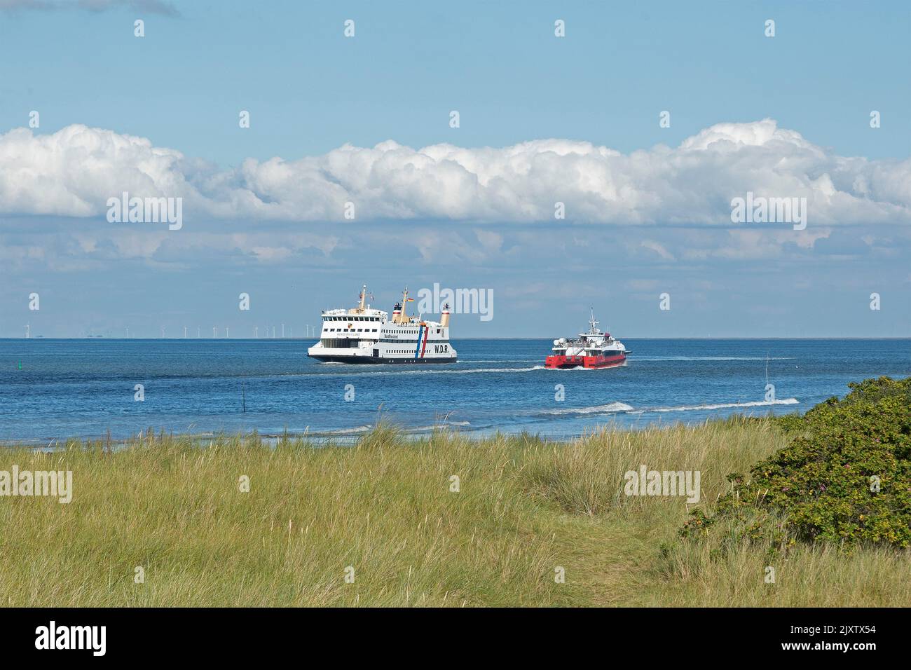 Car ferry north sea ferries hi-res stock photography and images - Alamy