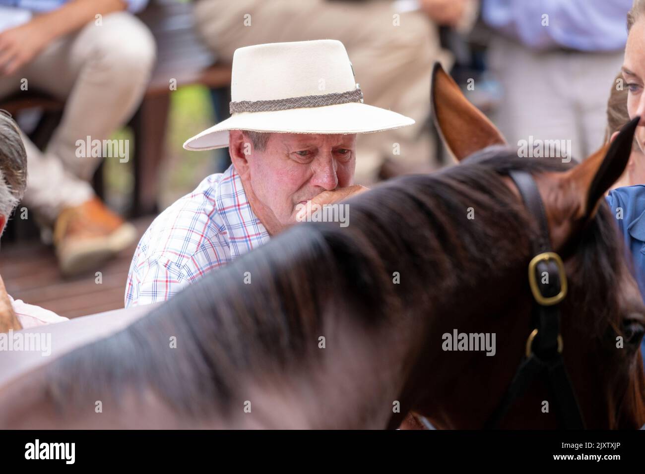 Action at the 2019 Gold Coast Magic Millions Yearling Sales, Wednesday ...