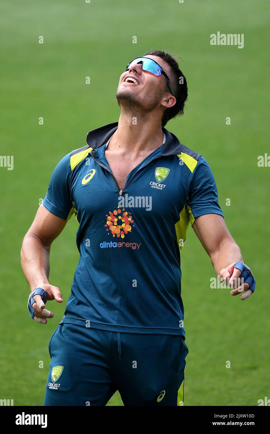 Marcus Stoinis of the Australian cricket team during a training session ...