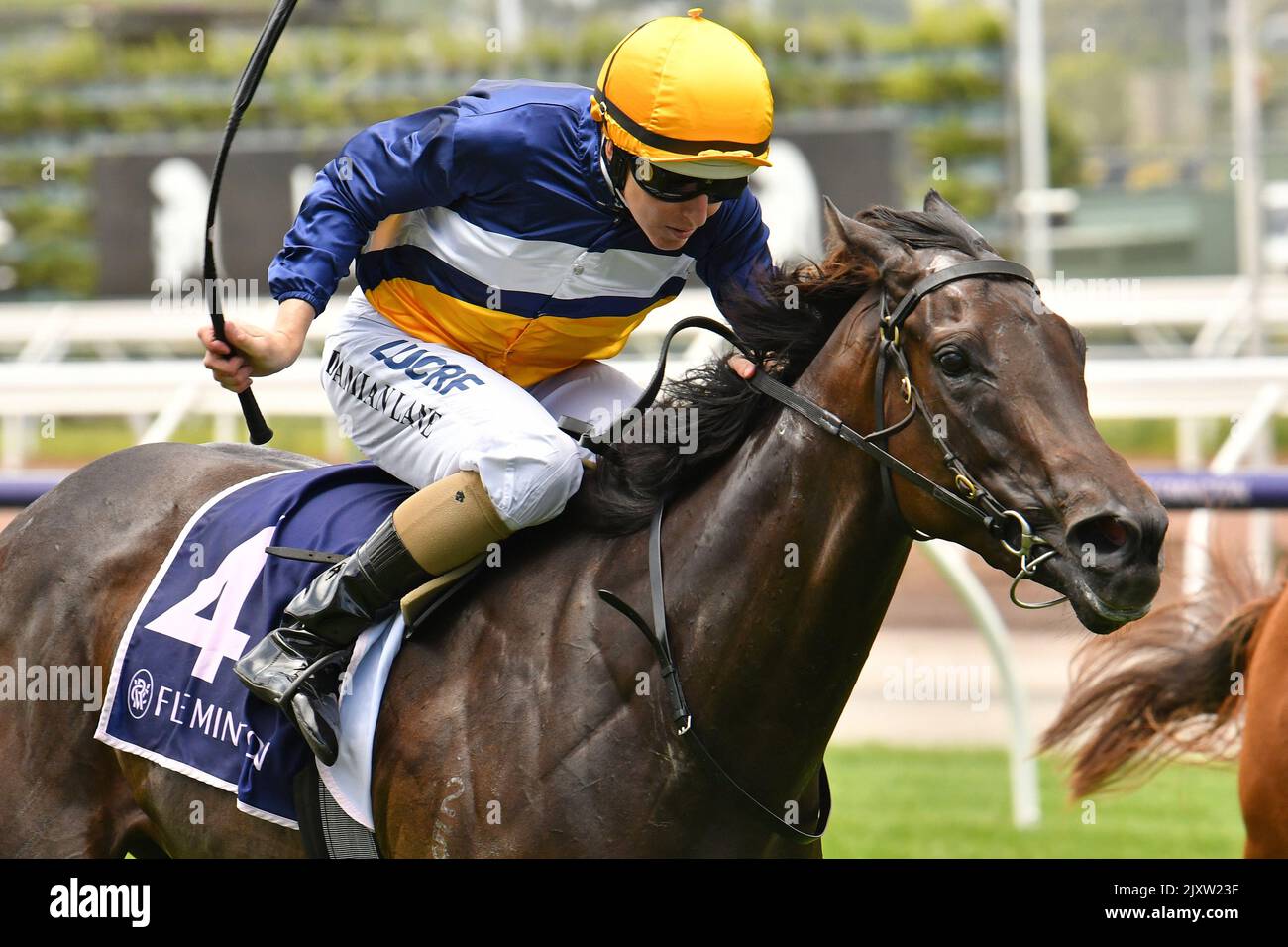 Jockey Damian Lane rides Bold Arial to victory in race 2, the Summer at ...
