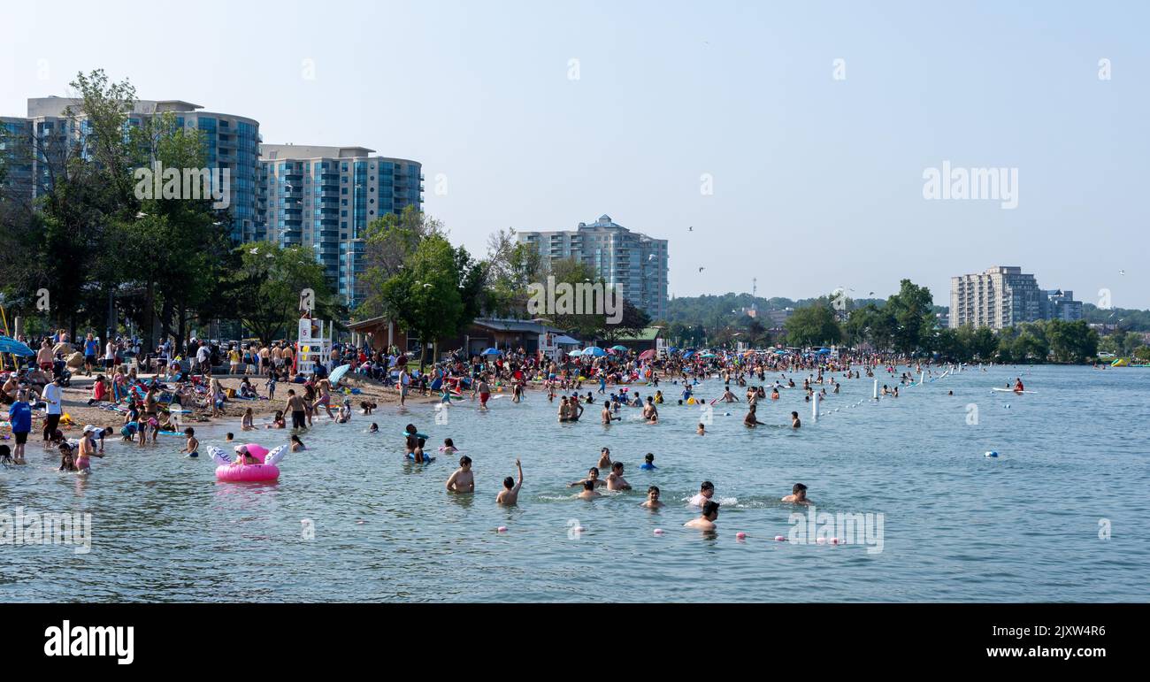 People doing leisure activities on the Centennial Park Beach in summer ...