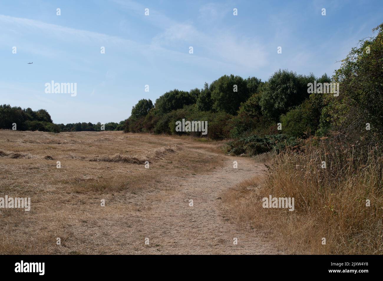 Braywick, Maidenhead, Berkshire, UK. 14th August, 2022. There is a ...