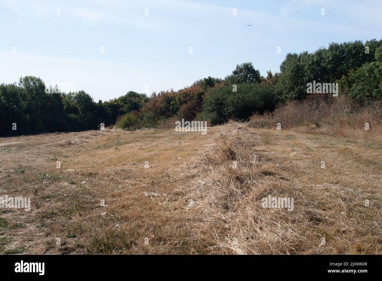 Braywick nature reserve hi-res stock photography and images - Alamy