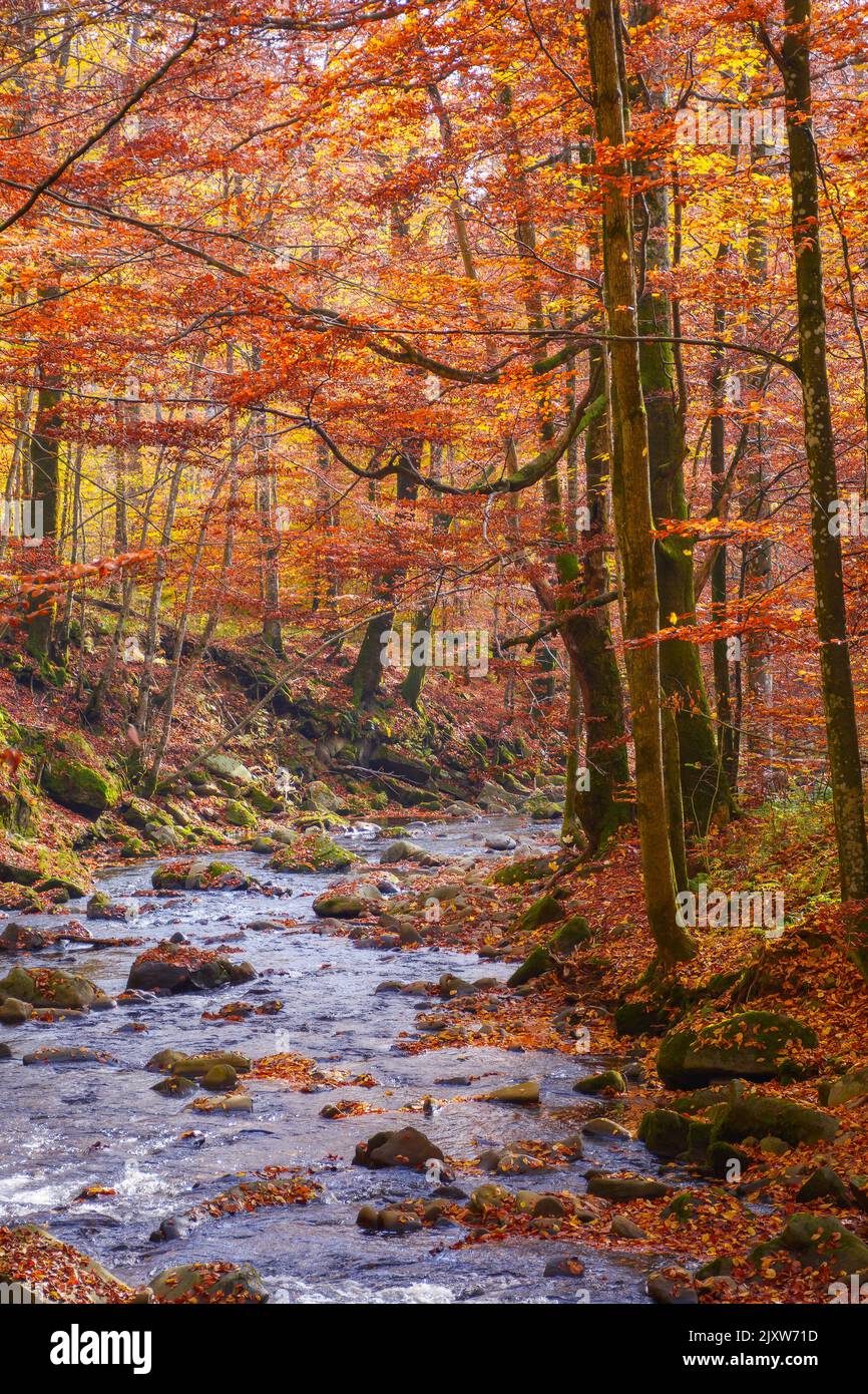 Stream backdrop hi-res stock photography and images - Alamy
