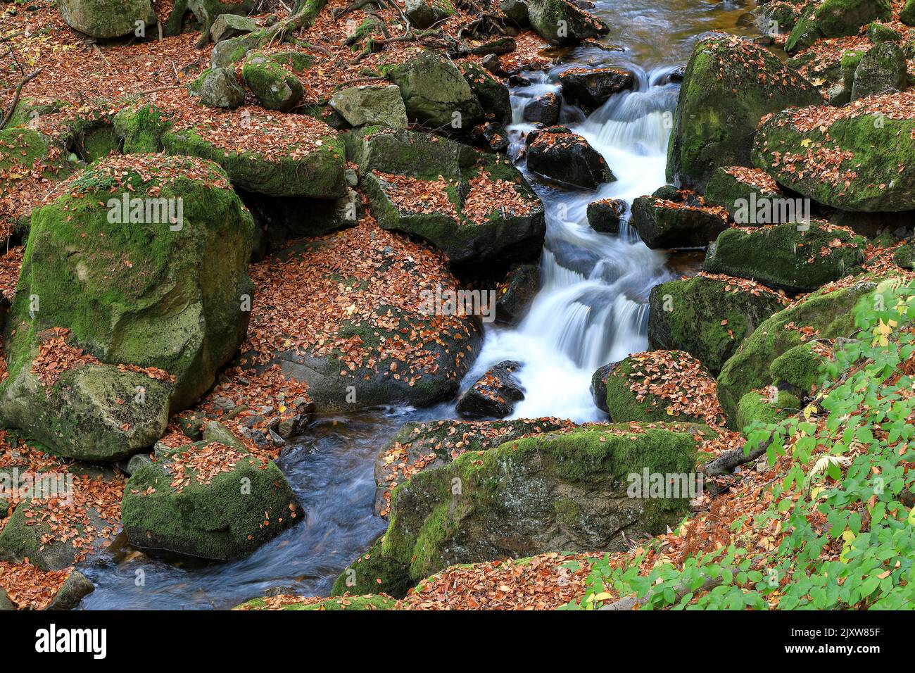 In The Ilse Valley Stock Photo - Alamy