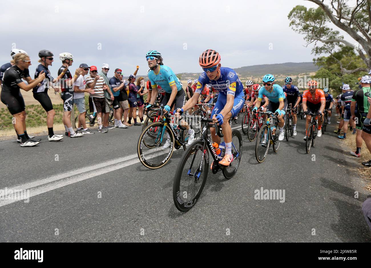 X during stage 2 of the Tour Down Under in Adelaide, Wednesday, January ...