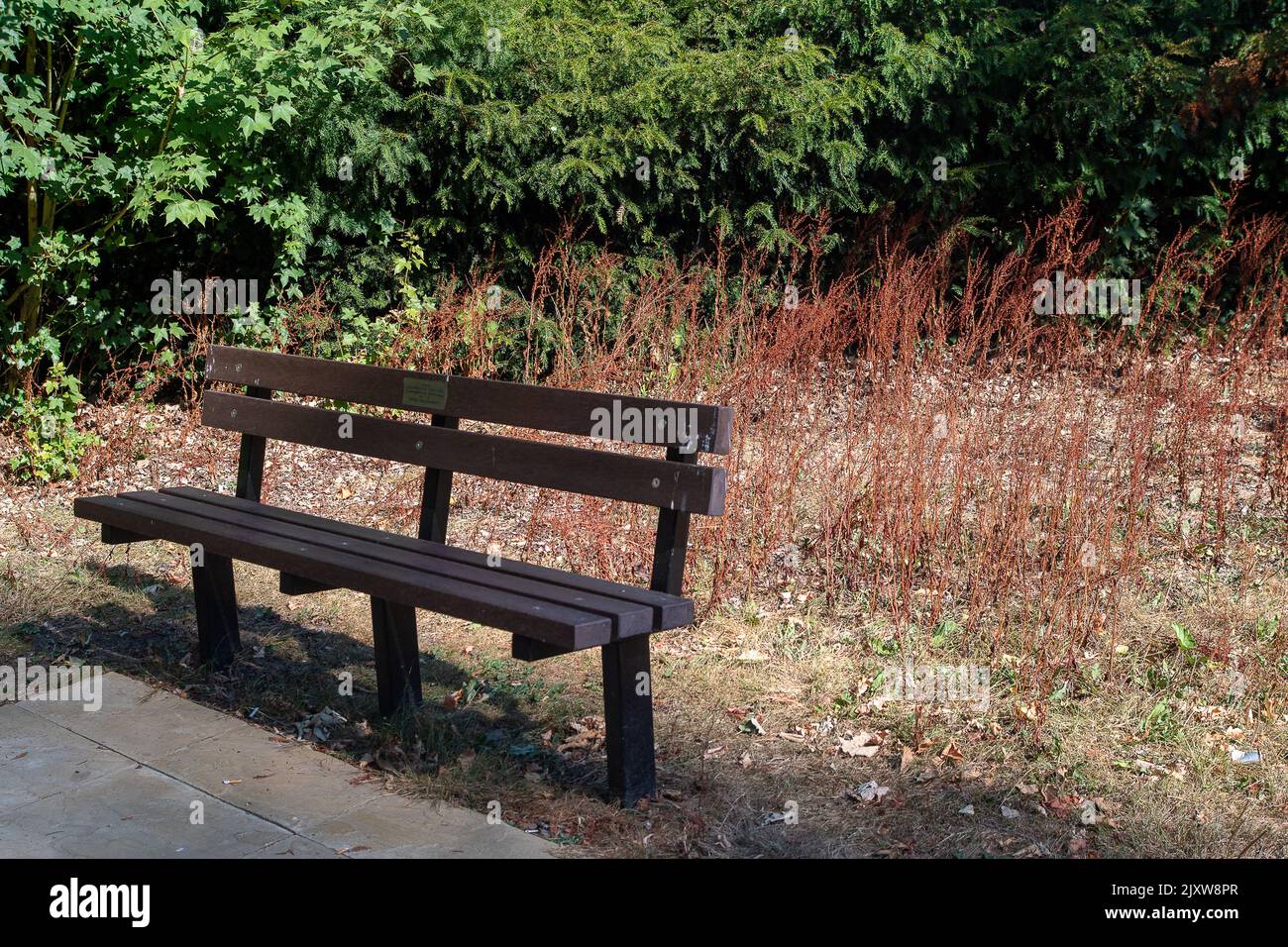 Braywick, Maidenhead, Berkshire, UK. 14th August, 2022. There is a ...