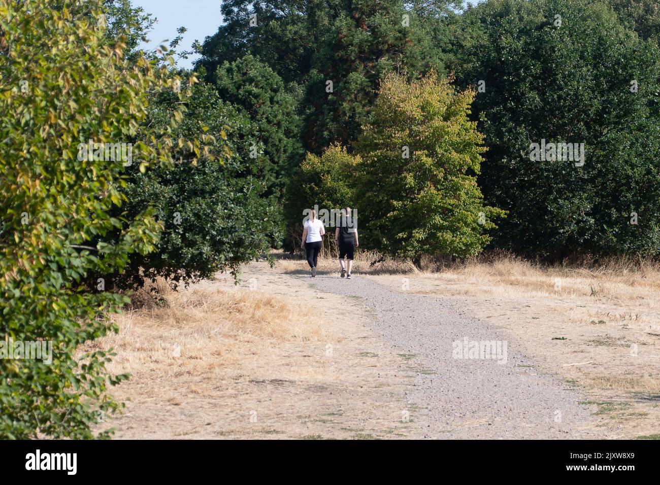 Braywick, Maidenhead, Berkshire, UK. 14th August, 2022. A couple walk ...