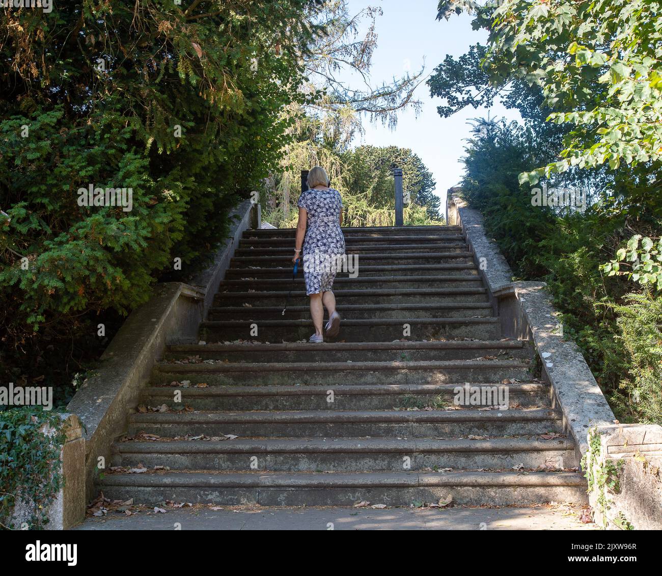 Braywick nature reserve hi-res stock photography and images - Alamy