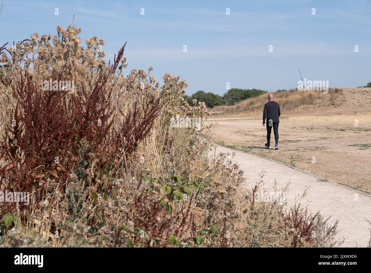 Braywick, Maidenhead, Berkshire, UK. 14th August, 2022. There is a ...