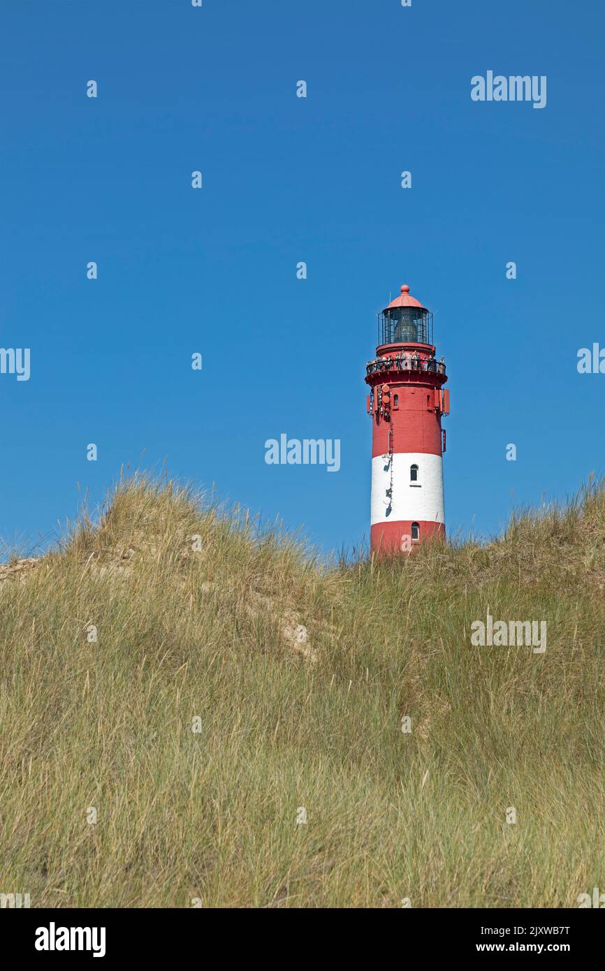 dunes, lighthouse, Amrum Island, North Friesland, Schleswig-Holstein ...