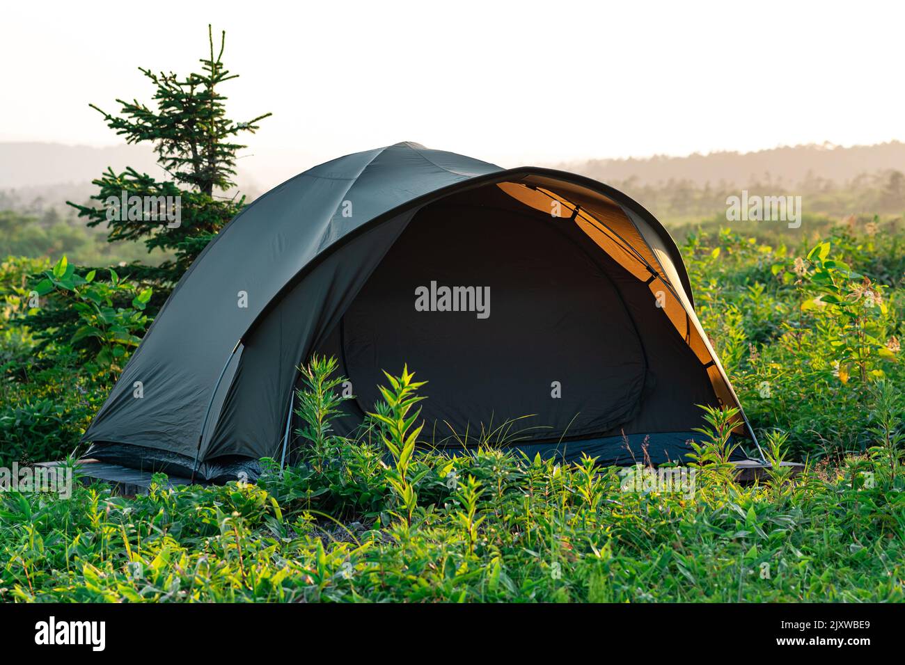 tourist tent among the grass in the rays of the morning sun Stock Photo ...