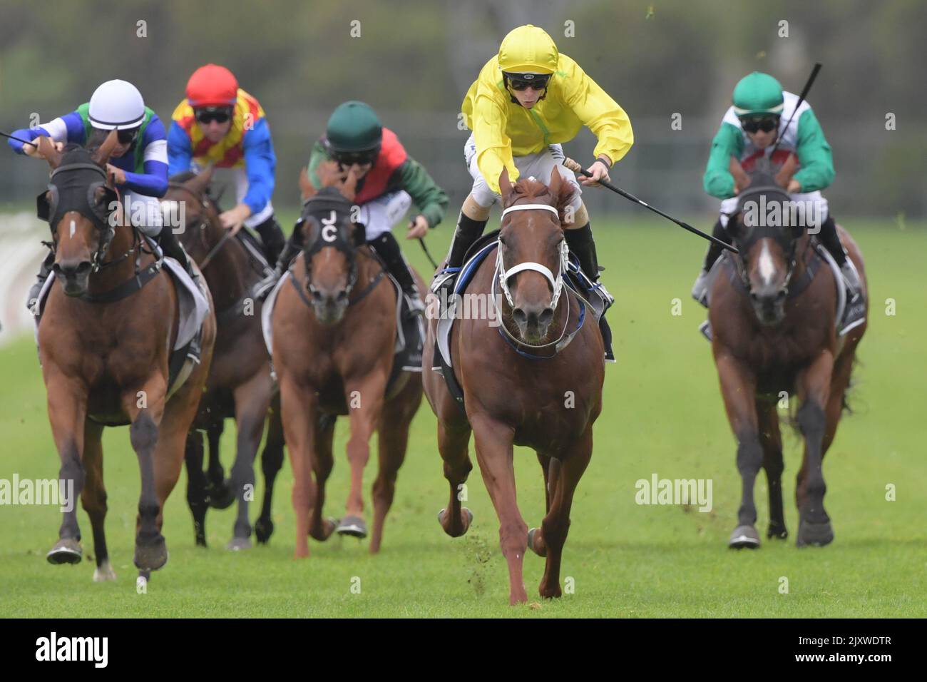 Jockey Robbie Dolan rides Sweet Scandal to victory in race 6, the Roger ...