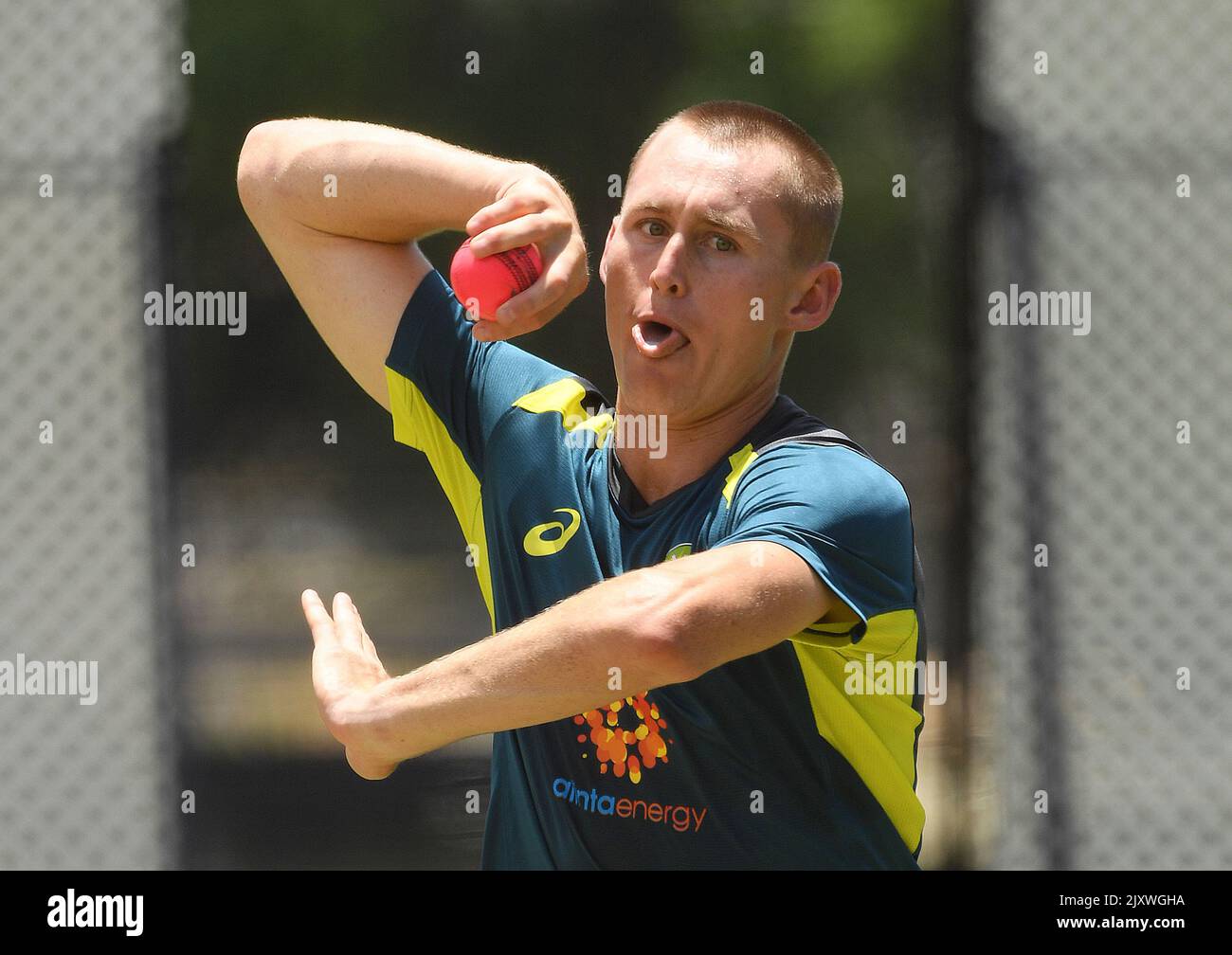 Marnus Labuschagne during the Australian Mens Test Team training ...