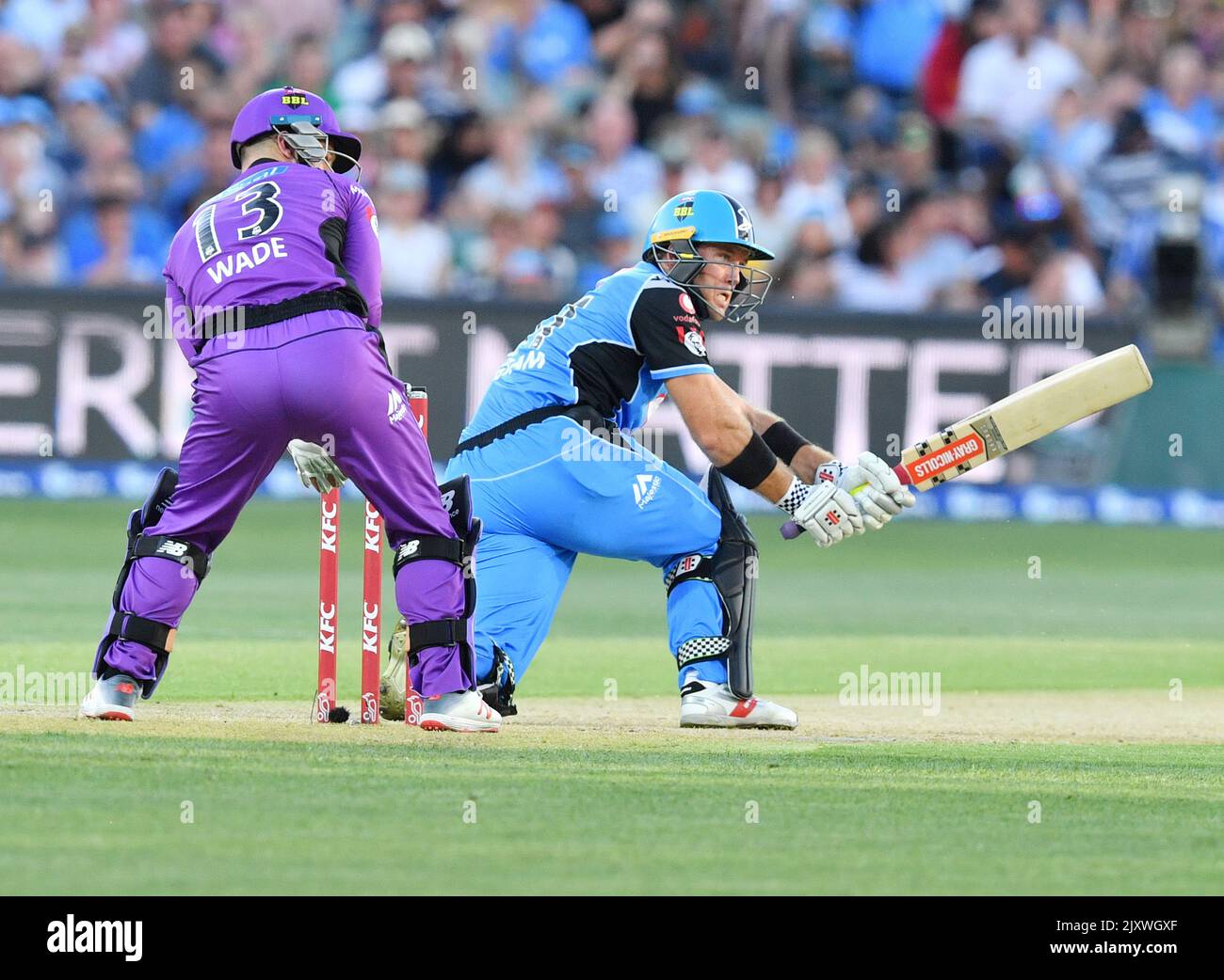 Colin Ingram of the Adelaide Strikers during the Big Bash League (BBL ...