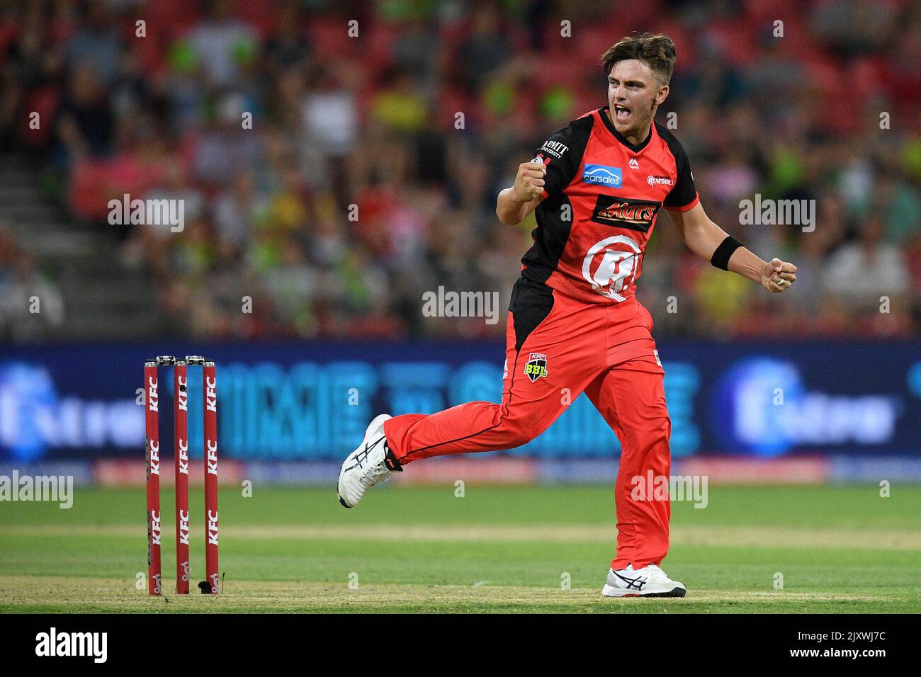 Cameron Boyce of the Renegades celebrates after taking the wicket of ...