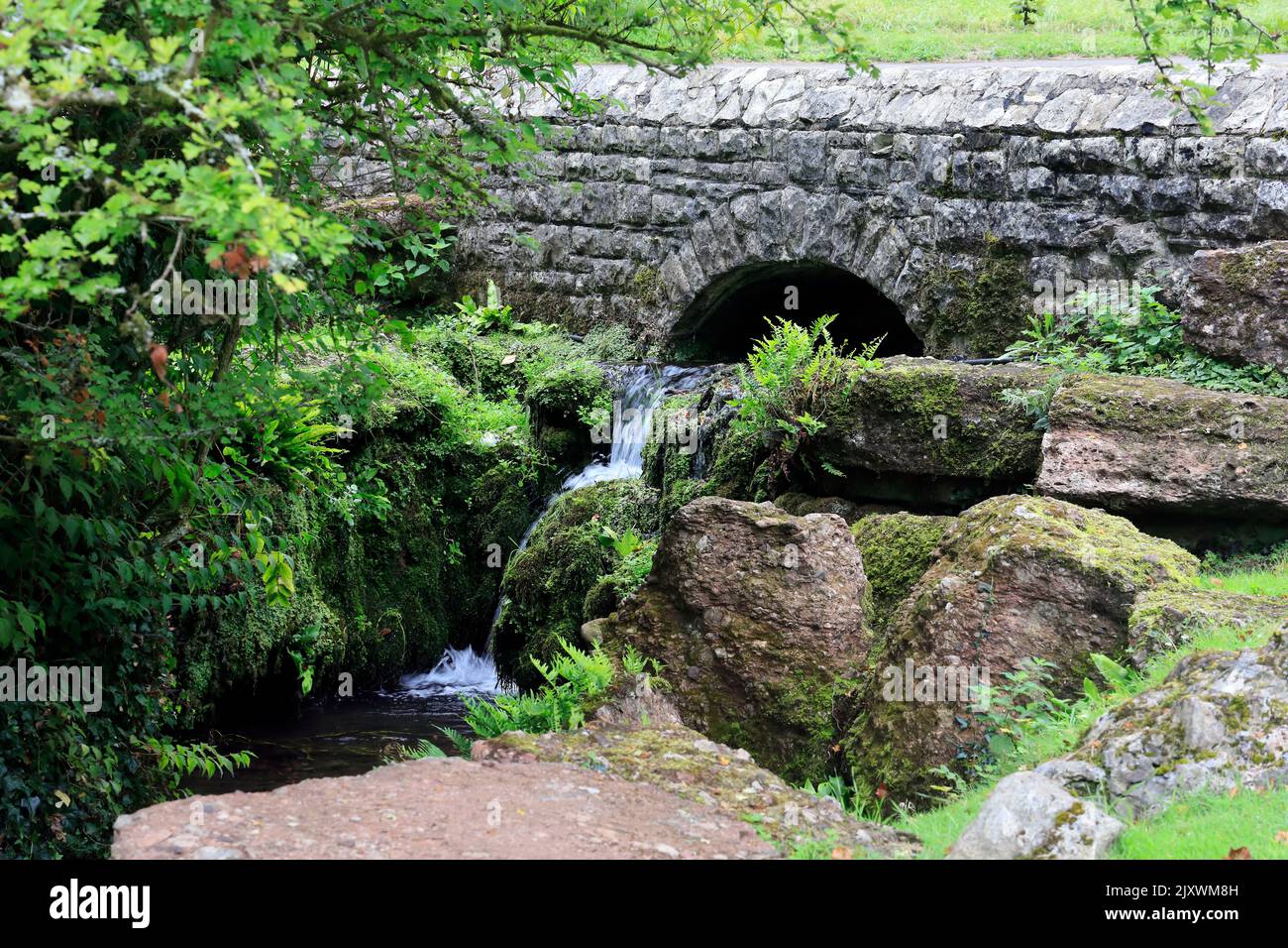 Pretty stone bridge and brook tumbling over mossy rocks. St Fagans ...