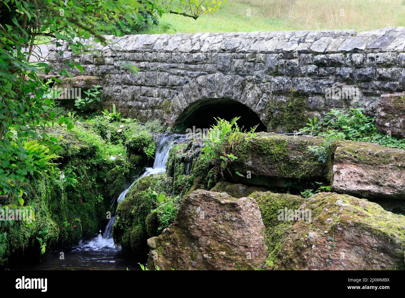 Pretty stone bridge and brook tumbling over mossy rocks. St Fagans ...