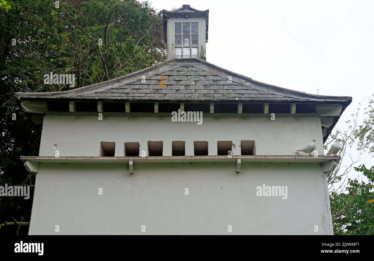 Dovecot at St Fagans National History Museum. Summer 2022. August. with ...