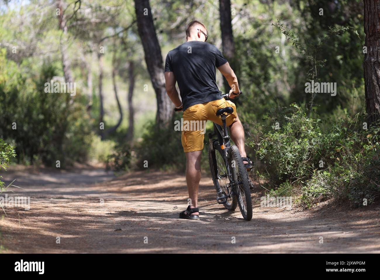 Ambitious man cyclist on forest path to sit on bicycle alone Stock ...