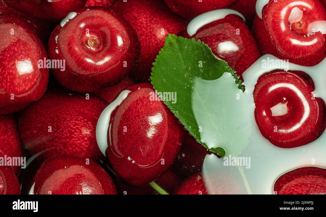 Red juicy sweet cherries. Juicy maroon fruit close-up. Cherries in ...