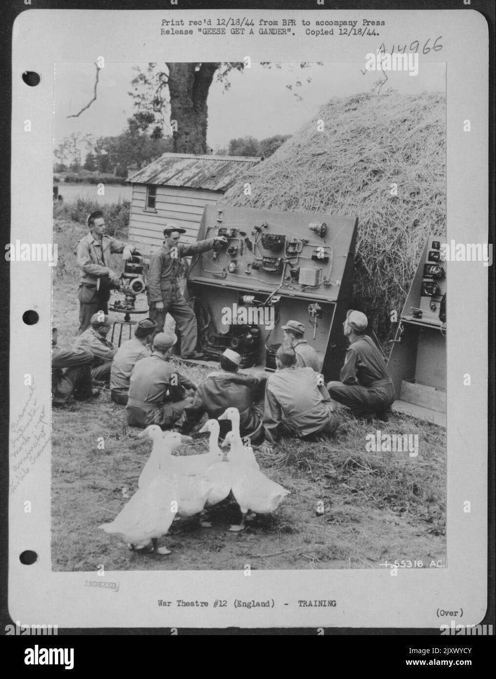 English geese wander in for informationwhile a group of U.S. Army 8th ...
