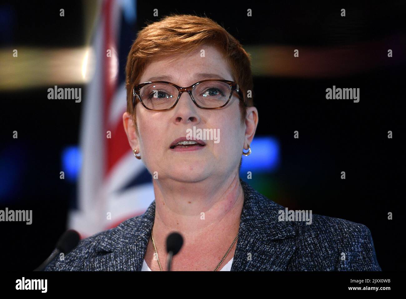 Foreign Minister Marise Payne delivers an address at the launch of ...