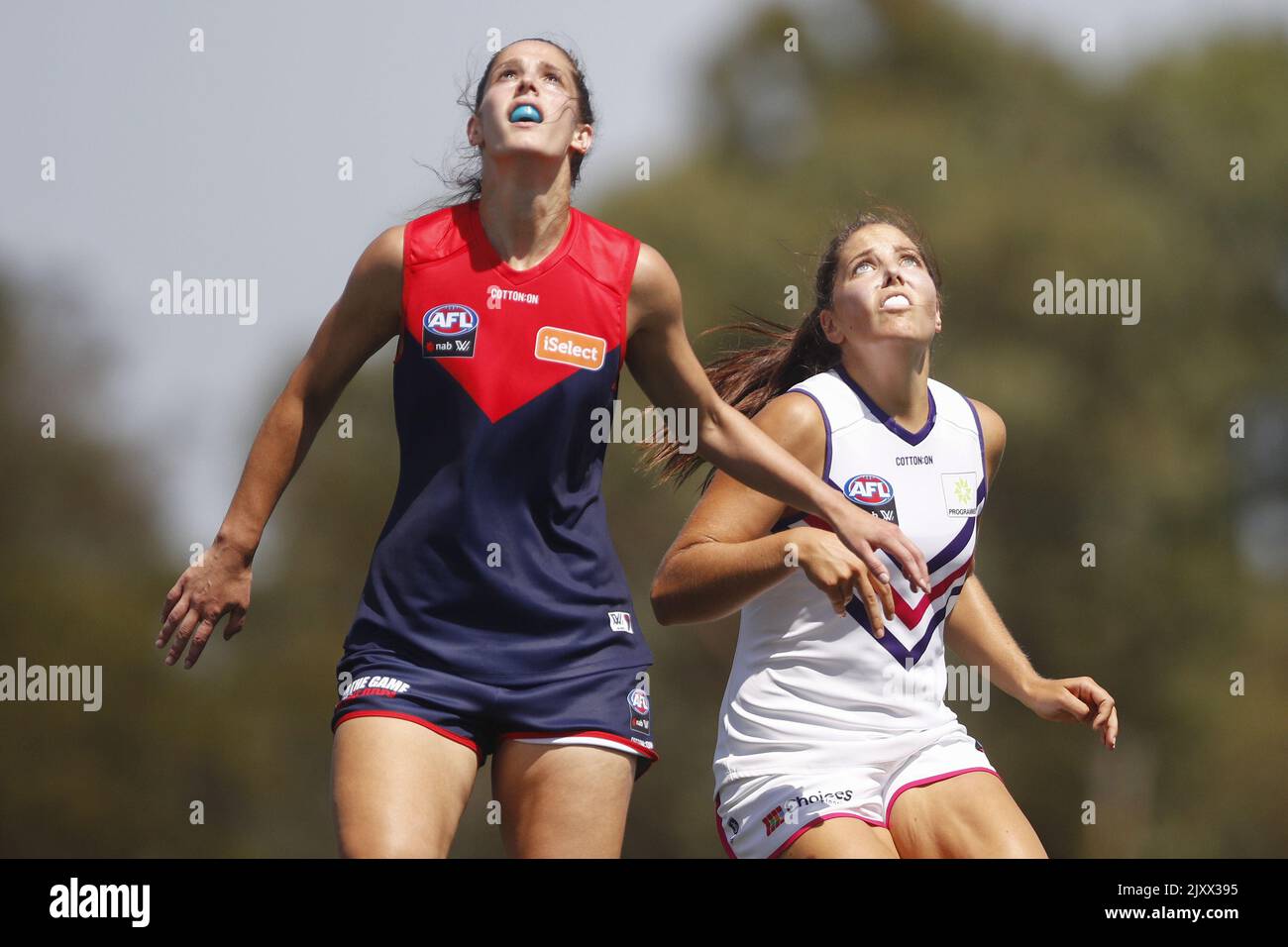 Lauren Pearce of the Demons and Parris Laurie of the Dockers contest ...