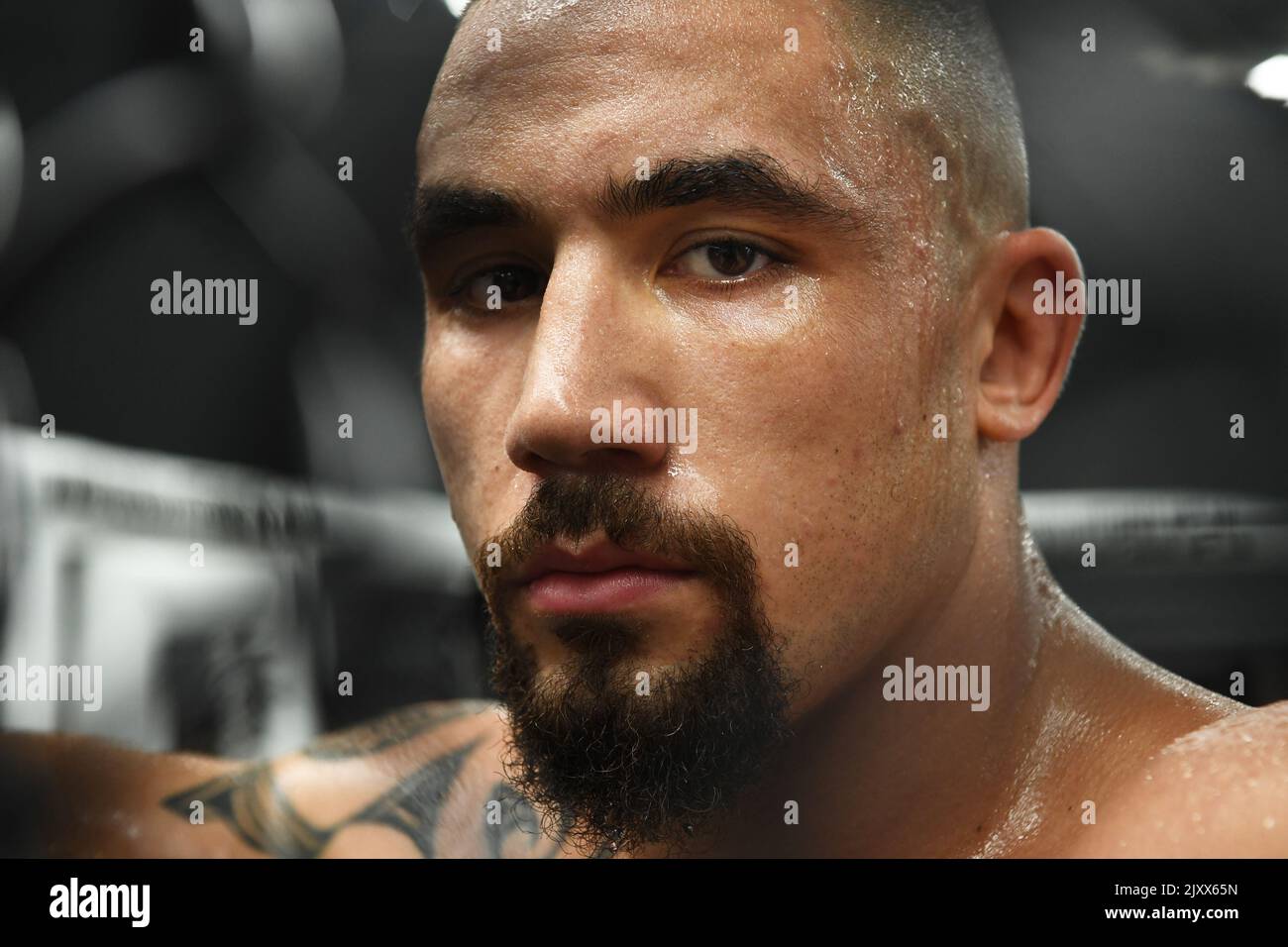 Robert Whittaker poses for a photograph following the UFC 234 card open ...