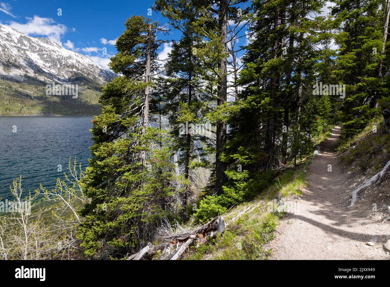 The Jenny Lake Loop Trail winding along the shores of Jenny Lake. Grand ...