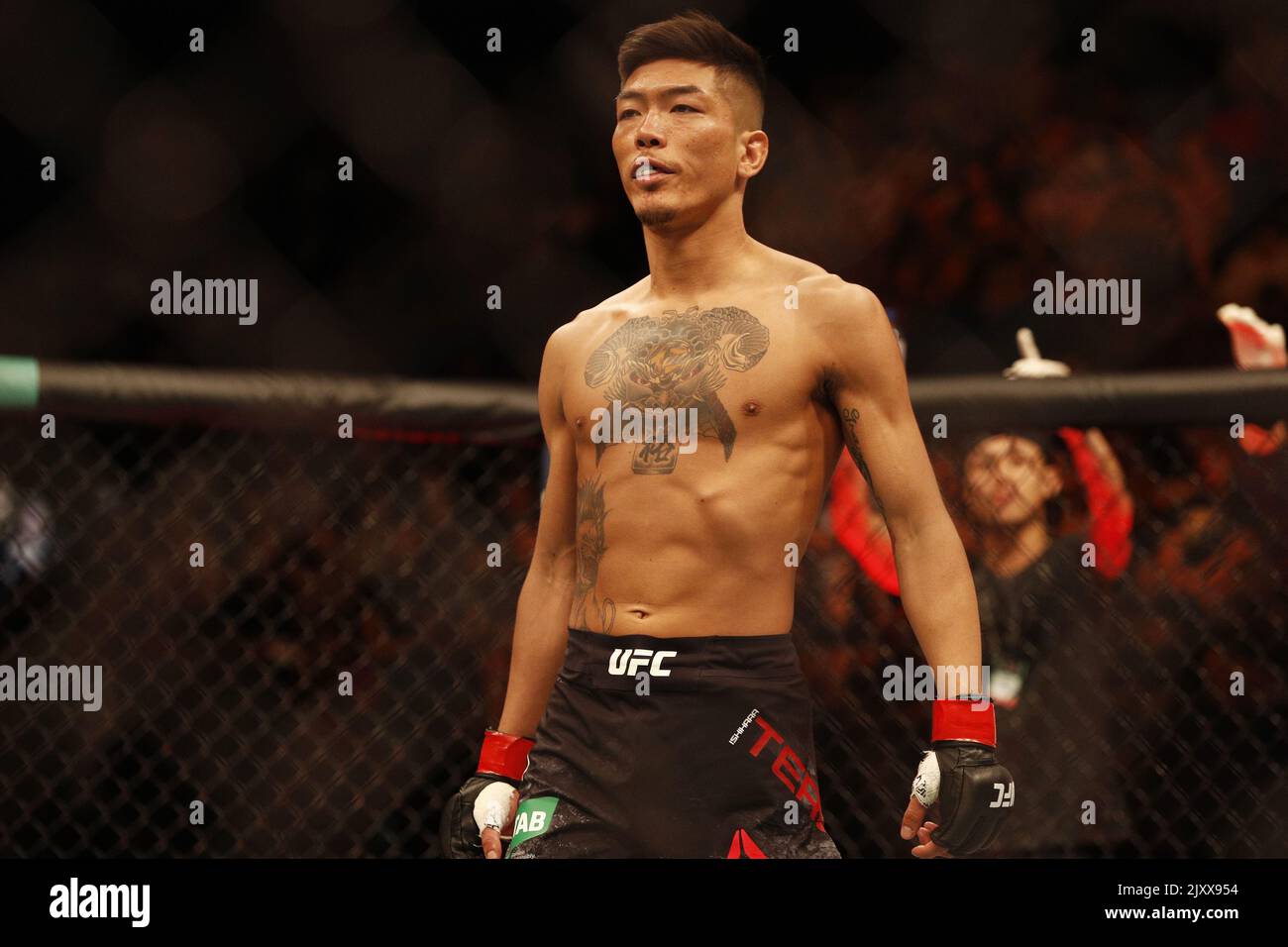 Teruto Ishihara is seen during the UFC 234 Bantemweight Bout between ...