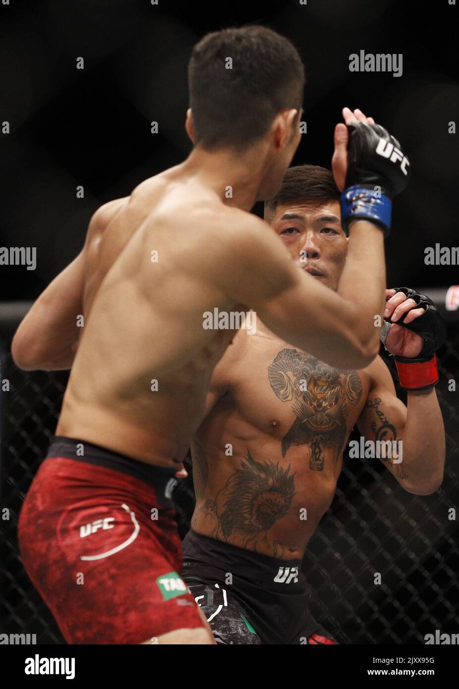Teruto Ishihara is seen during the UFC 234 Bantemweight Bout between ...