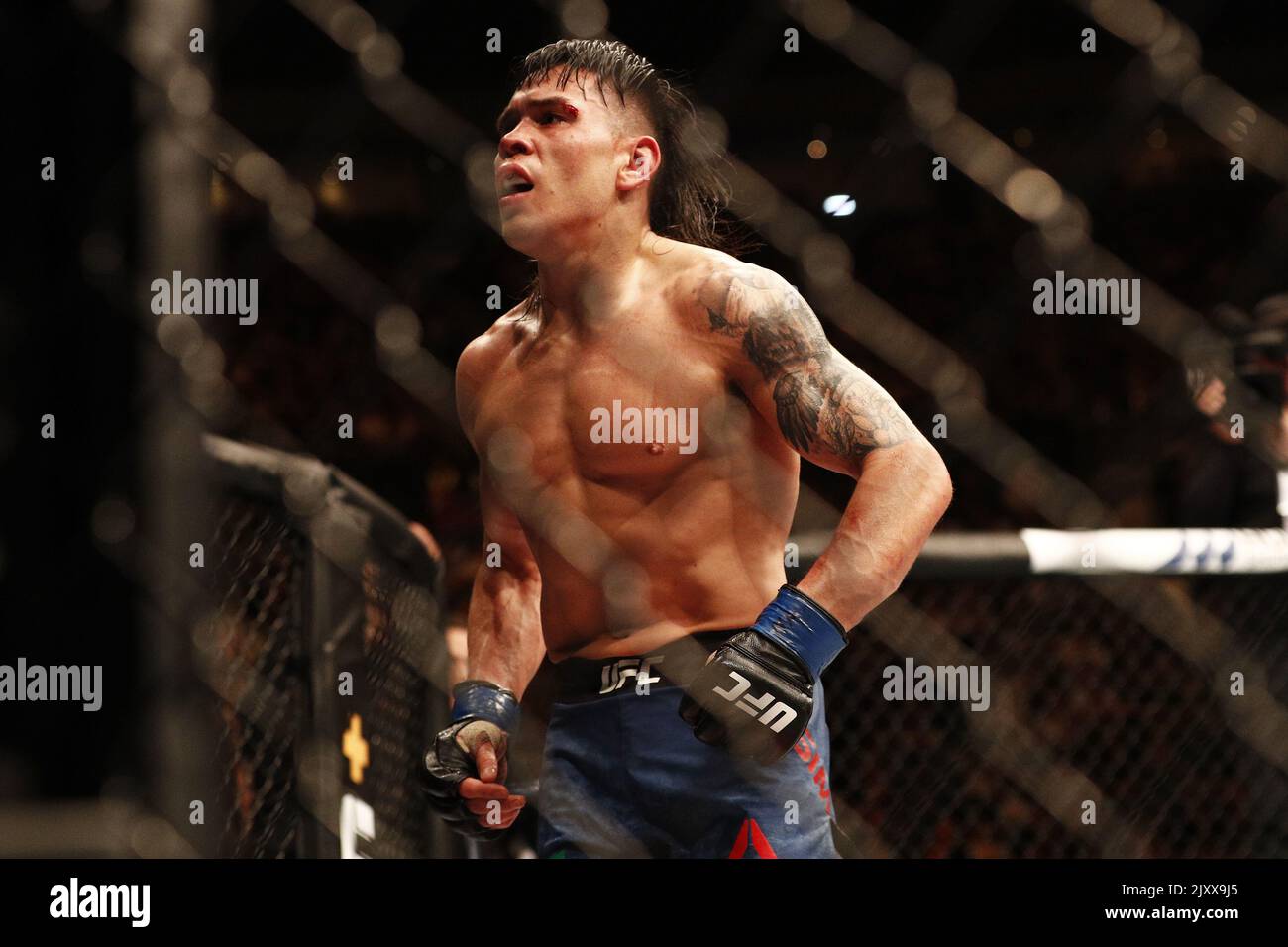 Ricky Simon celebrates after winning the UFC 234 undercard fight ...