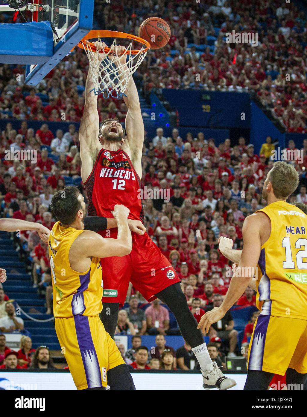 Angus Brandt of the Wildcats during the Round 17 NBL match between the ...