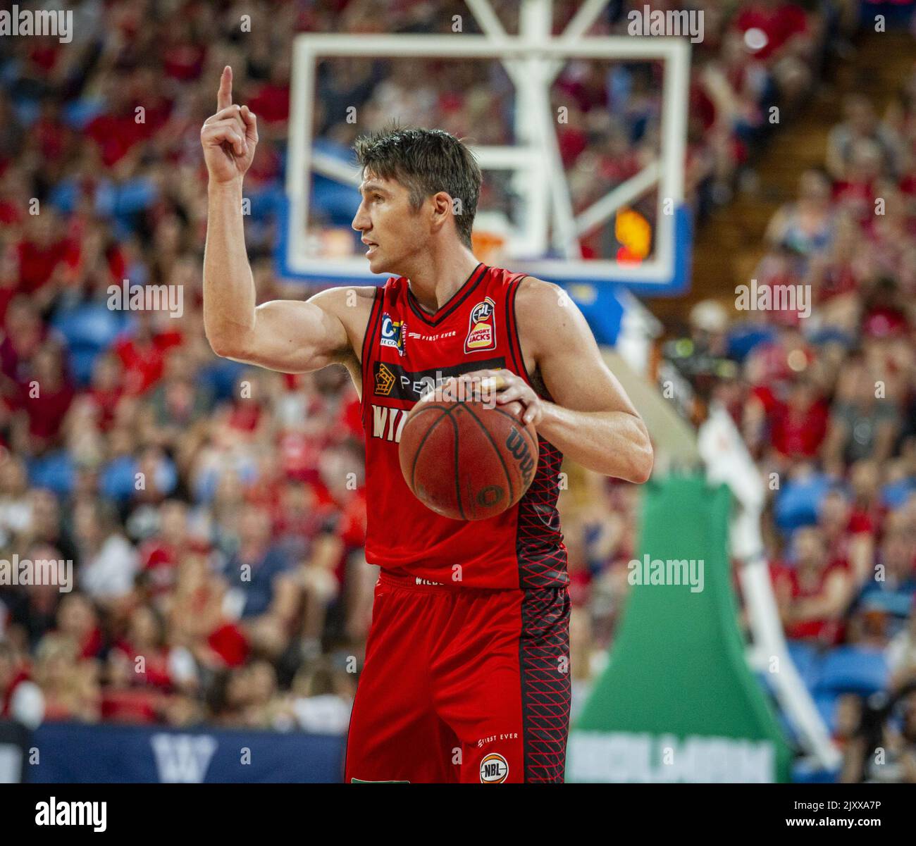 Damian Martin of the Wildcats during the Round 17 NBL match between the ...