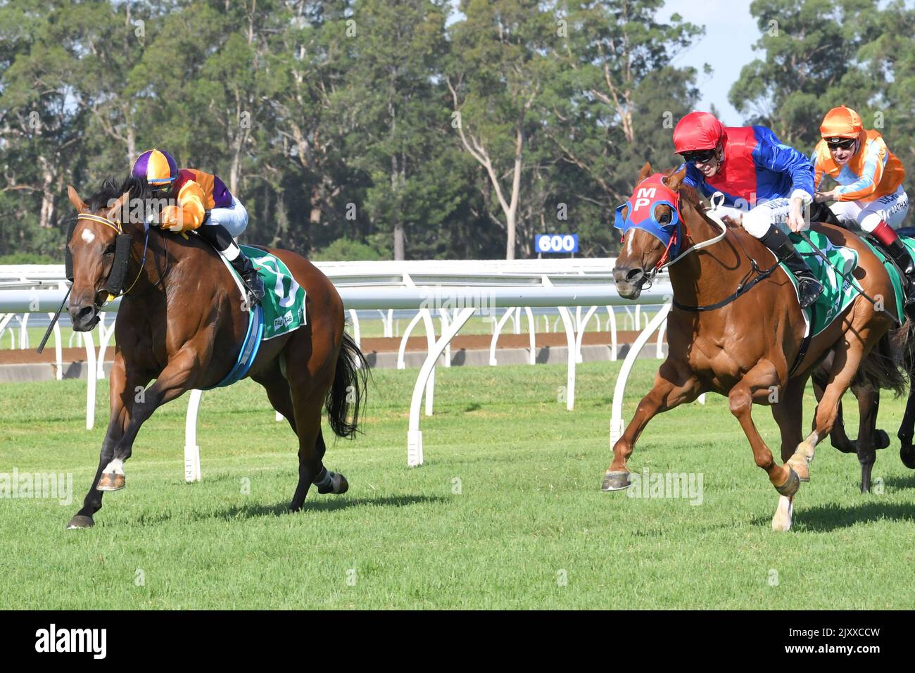Jockey Jenny Duggan rides Mixed Blossom to victory in race 7, the TAB ...